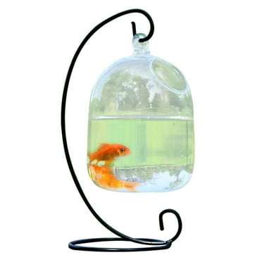 16 oz Clear Mini Plastic Fish Bowls (12 Pack) for Drinks, Decorations ...