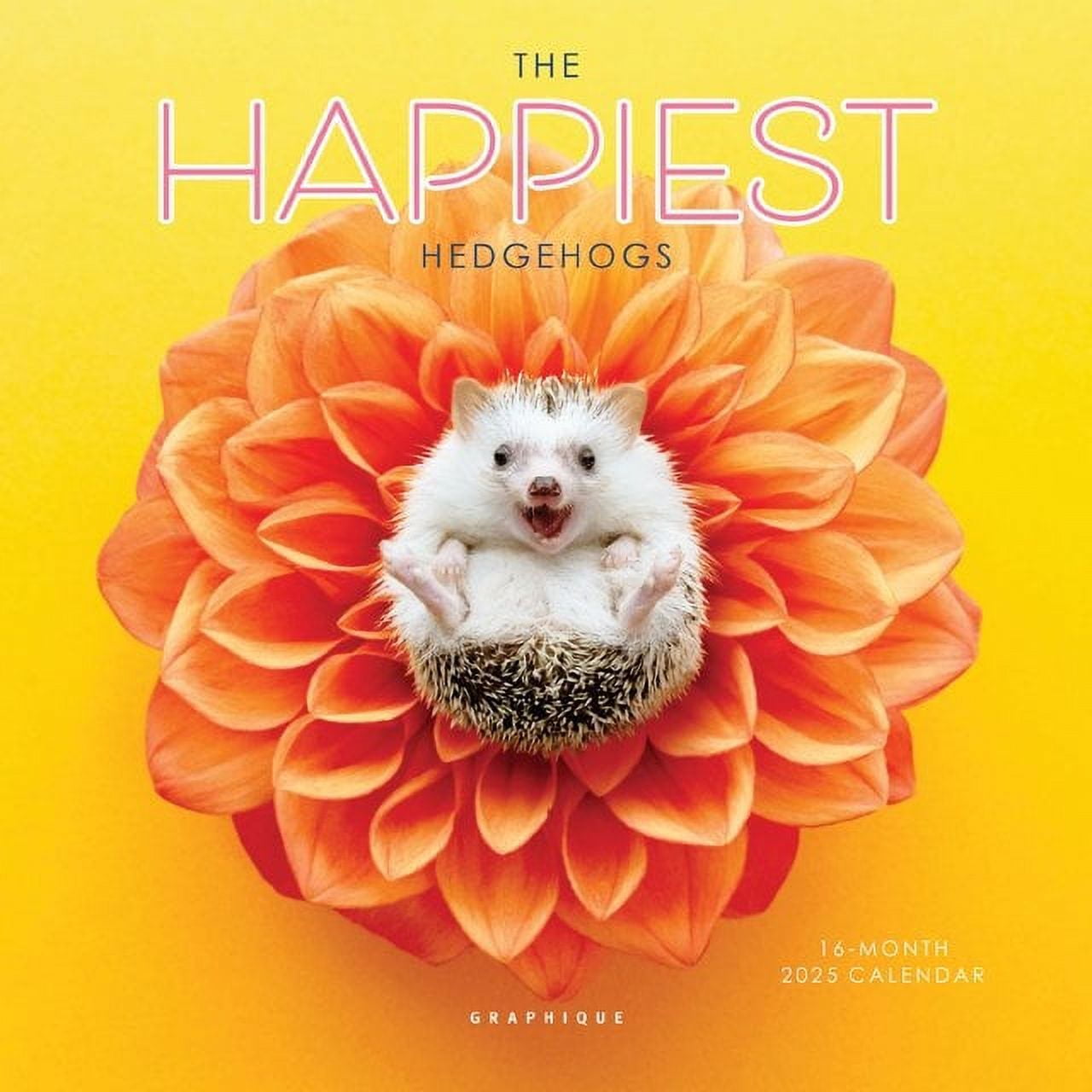Graphique 2025 Happiest Hedgehogs Mini Wall Calendar | 7” x 7” | Thick ...