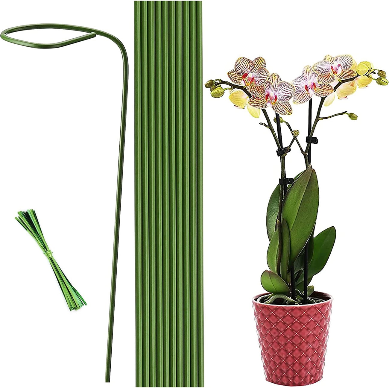 Happon 20Pcs Plant Support Stakes with 20 Pcs Cable Ties, 15.7inch Tall ...