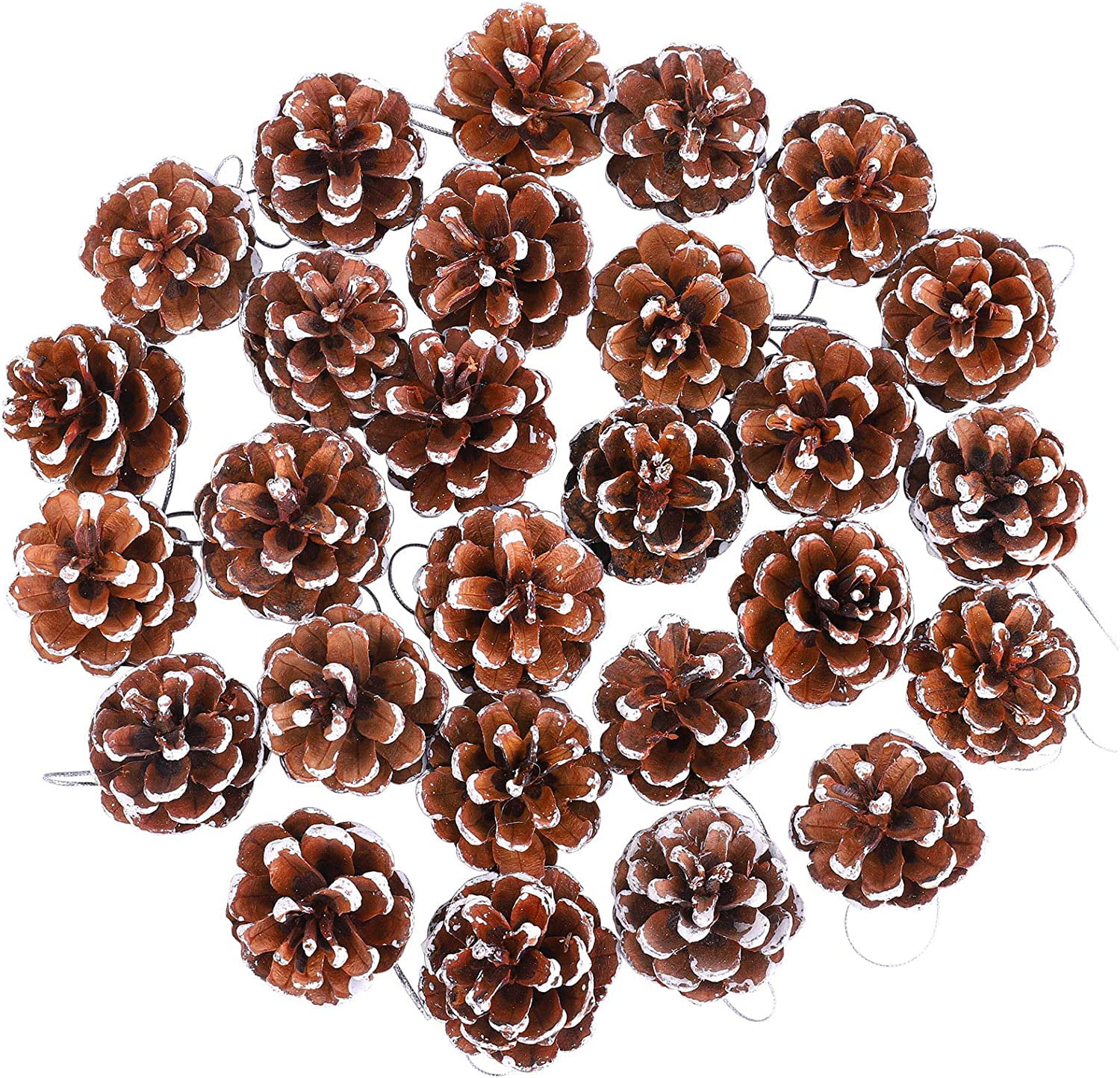Happon 27 Pcs Pine Cones Christmas Rustic Pine Cones Bulk Ornaments ...