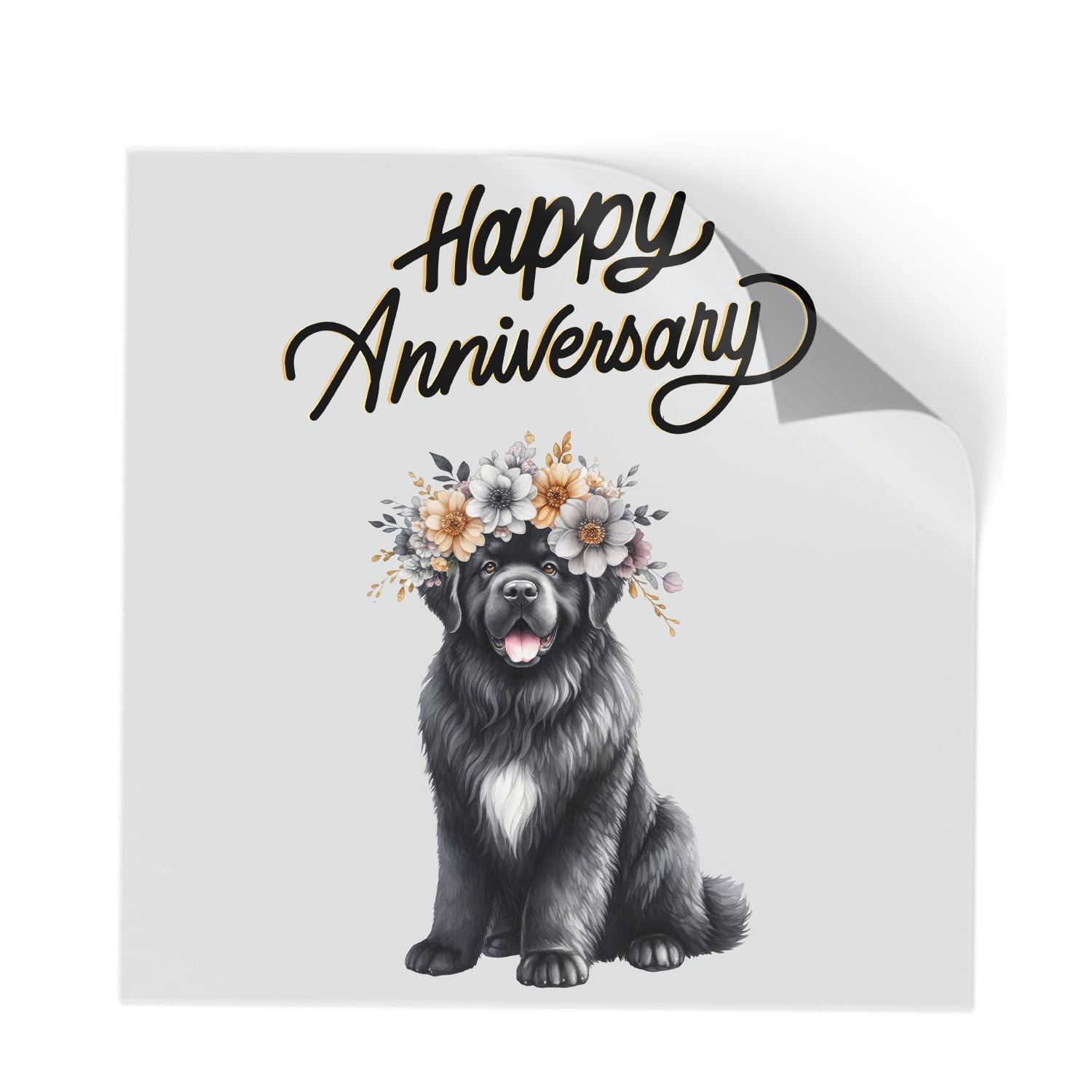 Happy Anniversary Newfoundland Celebrates Wedding Love Family Party ...