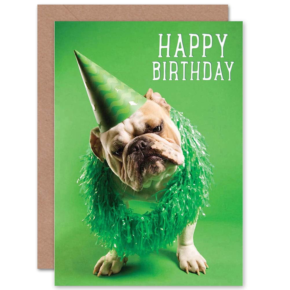 Happy Birthday Bulldog Party Hat Green Celebrate Birthday Greetings ...