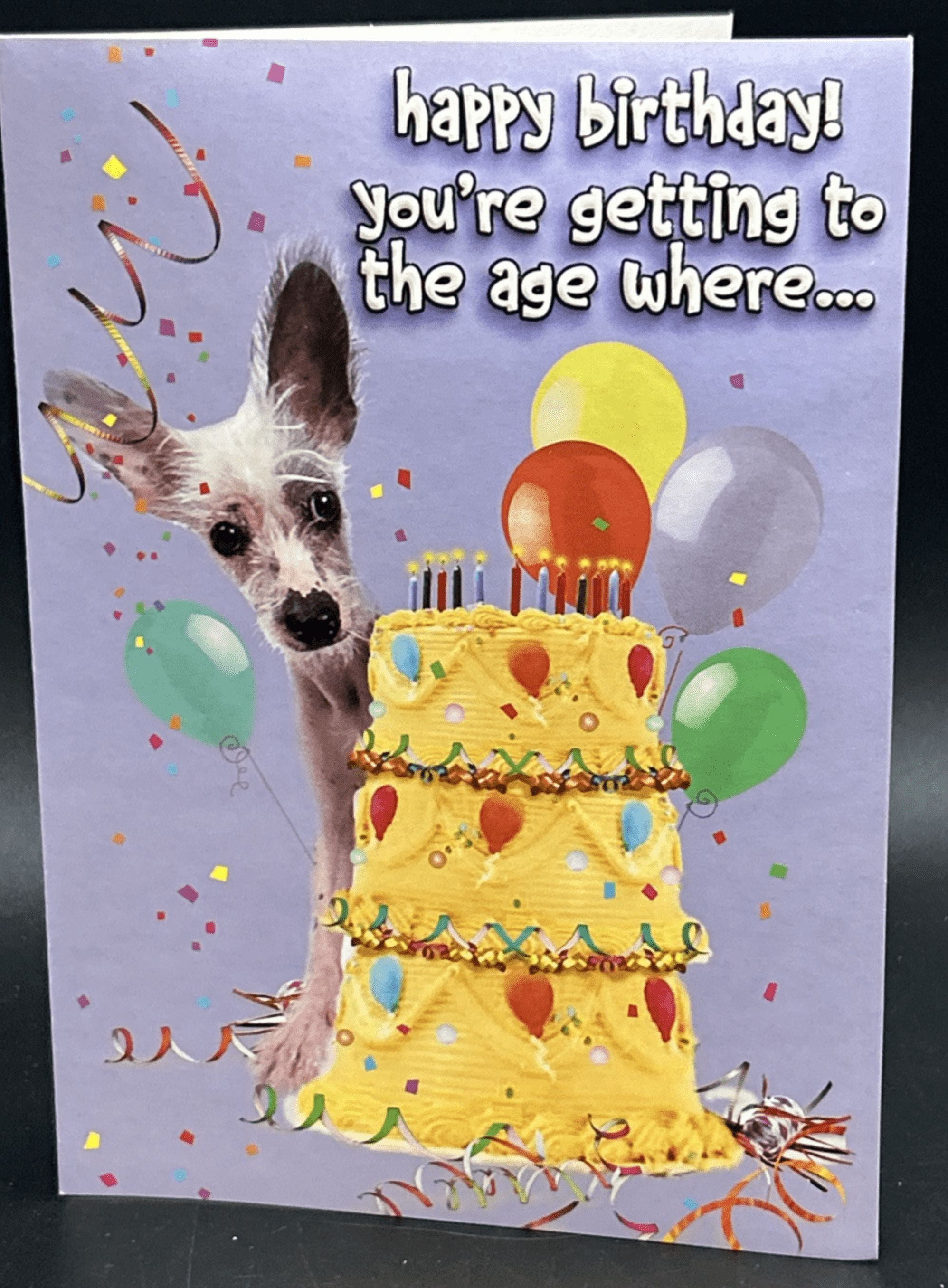 Happy Birthday (Dog Paws & Claws) Greeting Card w/Envelope - Walmart.com