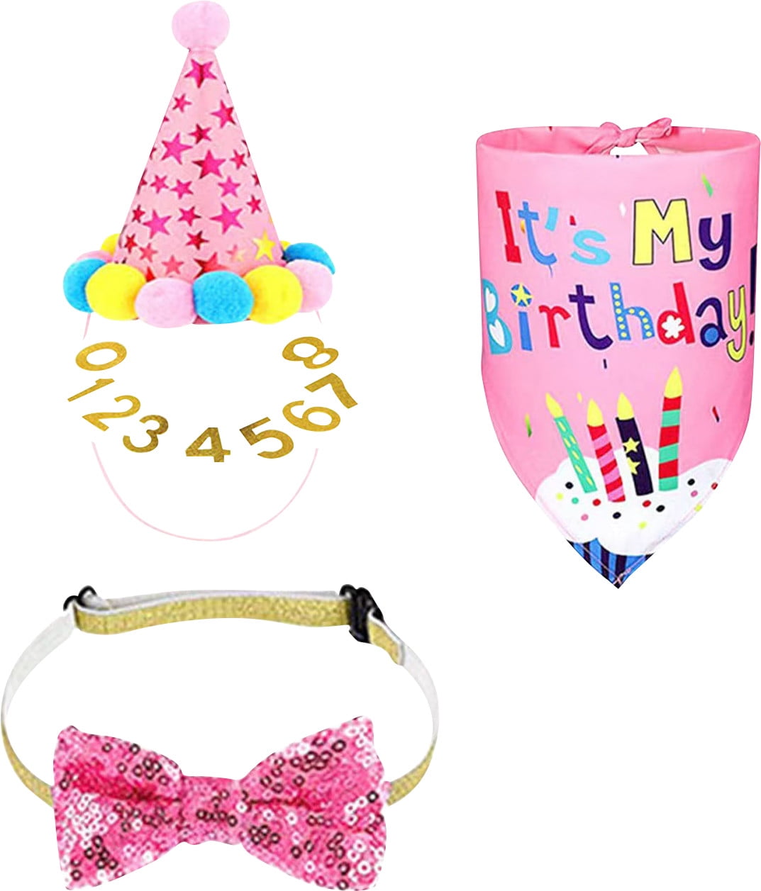 Happy Birthday Goose Outfit Porch Goose Outfits with Happy Birthday ...