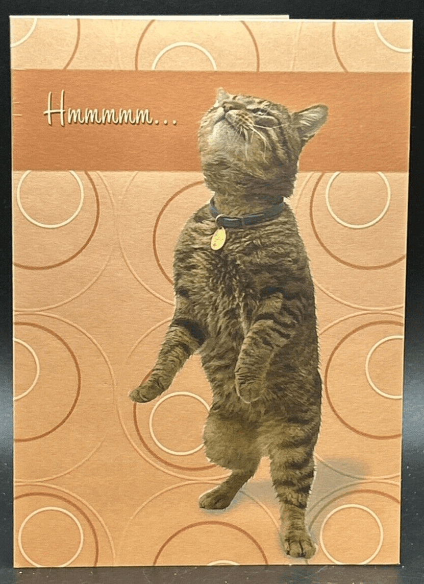 Happy Birthday (Paws & Claws) Cat Greeting Card w/Envelope - Walmart.com