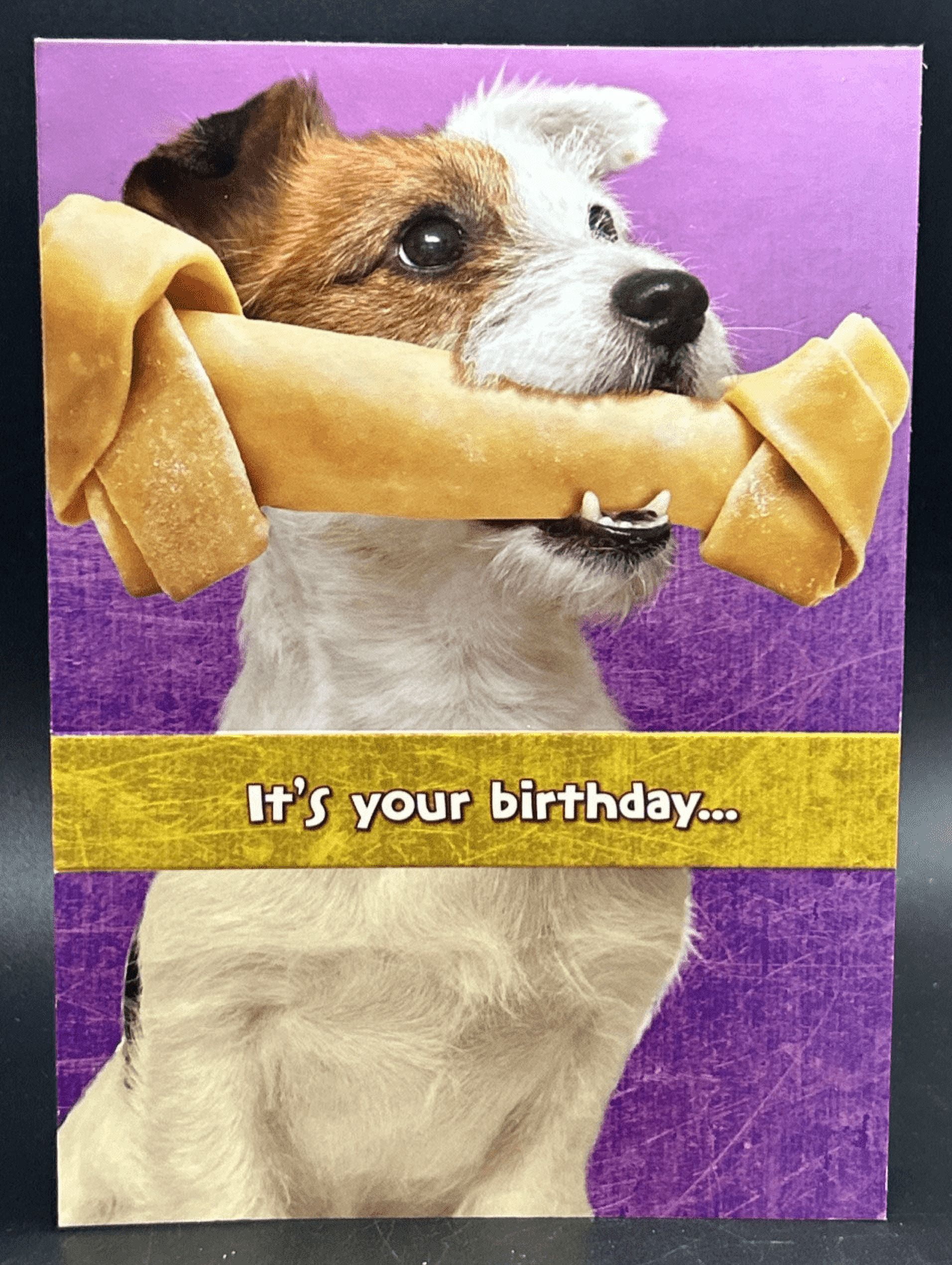 Happy Birthday (Paws & Claws Dog) Greeting Card w/Envelope - Walmart.com