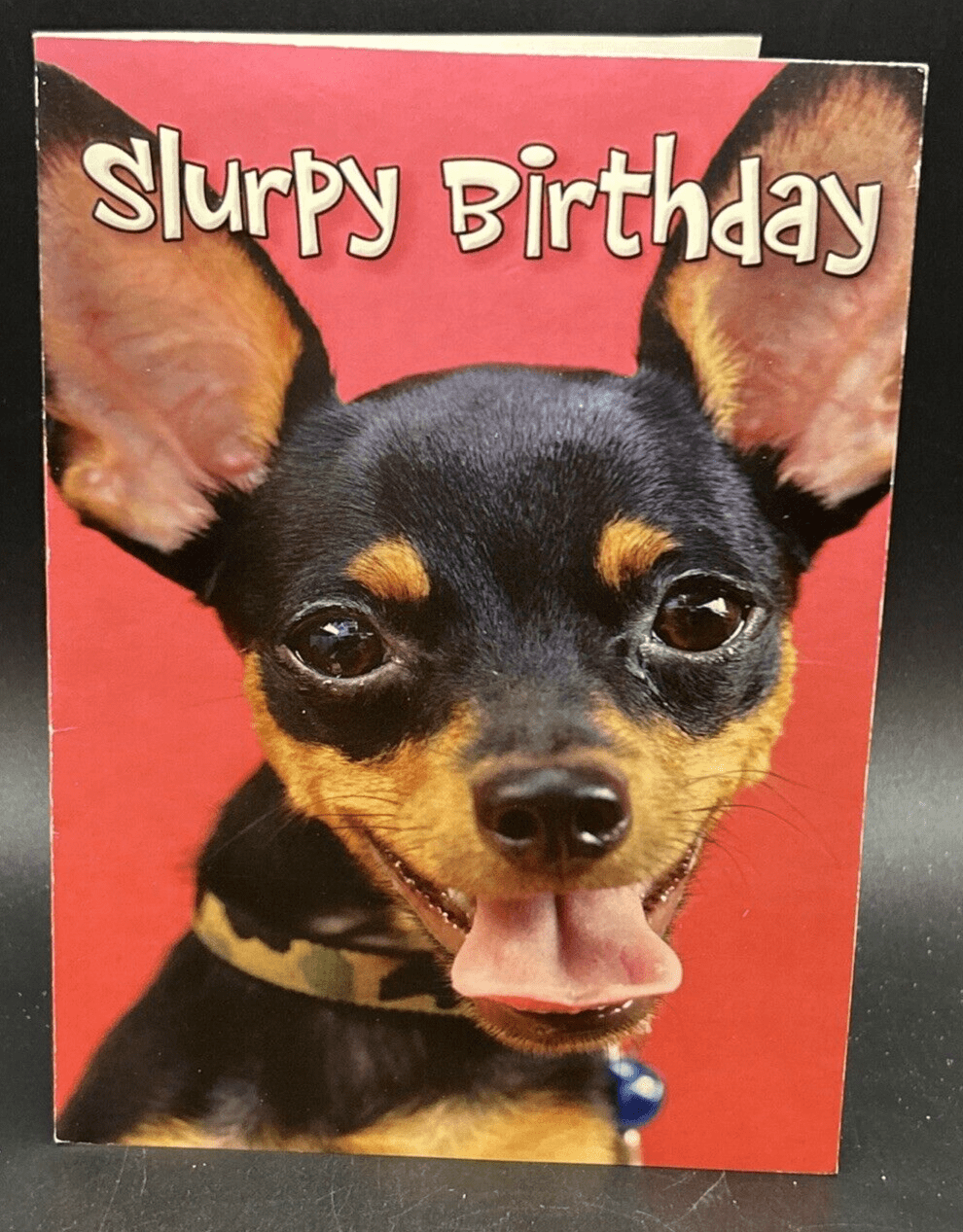 Happy Birthday (Paws & Claws) Dog Greeting Card w/Envelope - Walmart.com