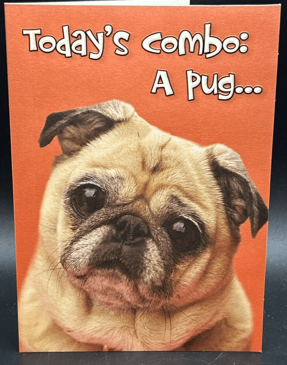 Happy Birthday (Paws & Claws) Pug Dog Greeting Card w/Envelope ...