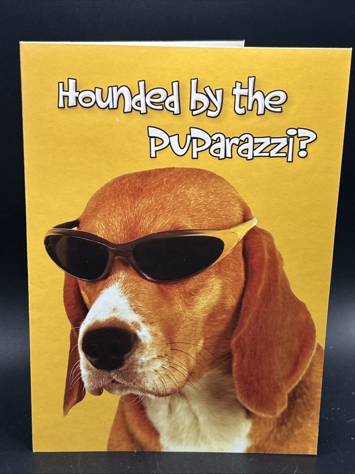 Happy Birthday (Paws and Claws) Greeting Card w/Envelope - Walmart.com