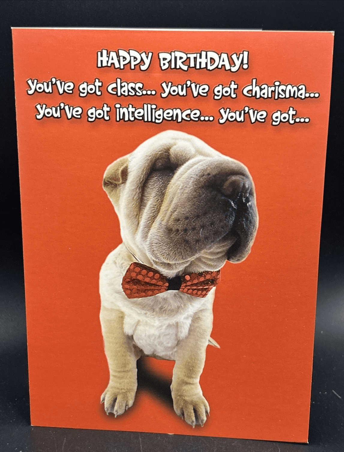 Happy Birthday (Paws and Claws) Greeting Card w/Envelope - Walmart.com