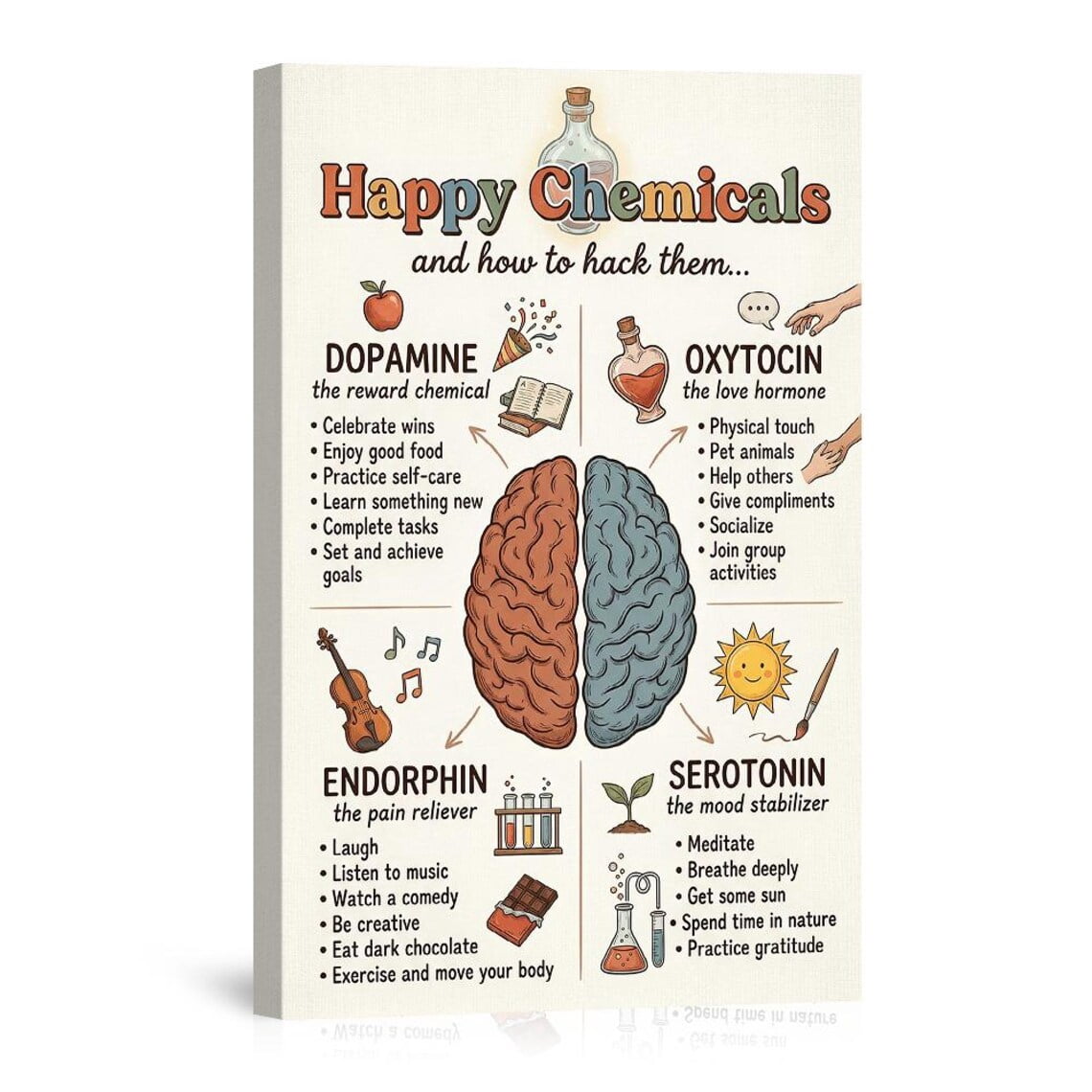 Happy Chemicals Brain Health Dopamine Serotonin Oxytocin Endorphin Mood ...
