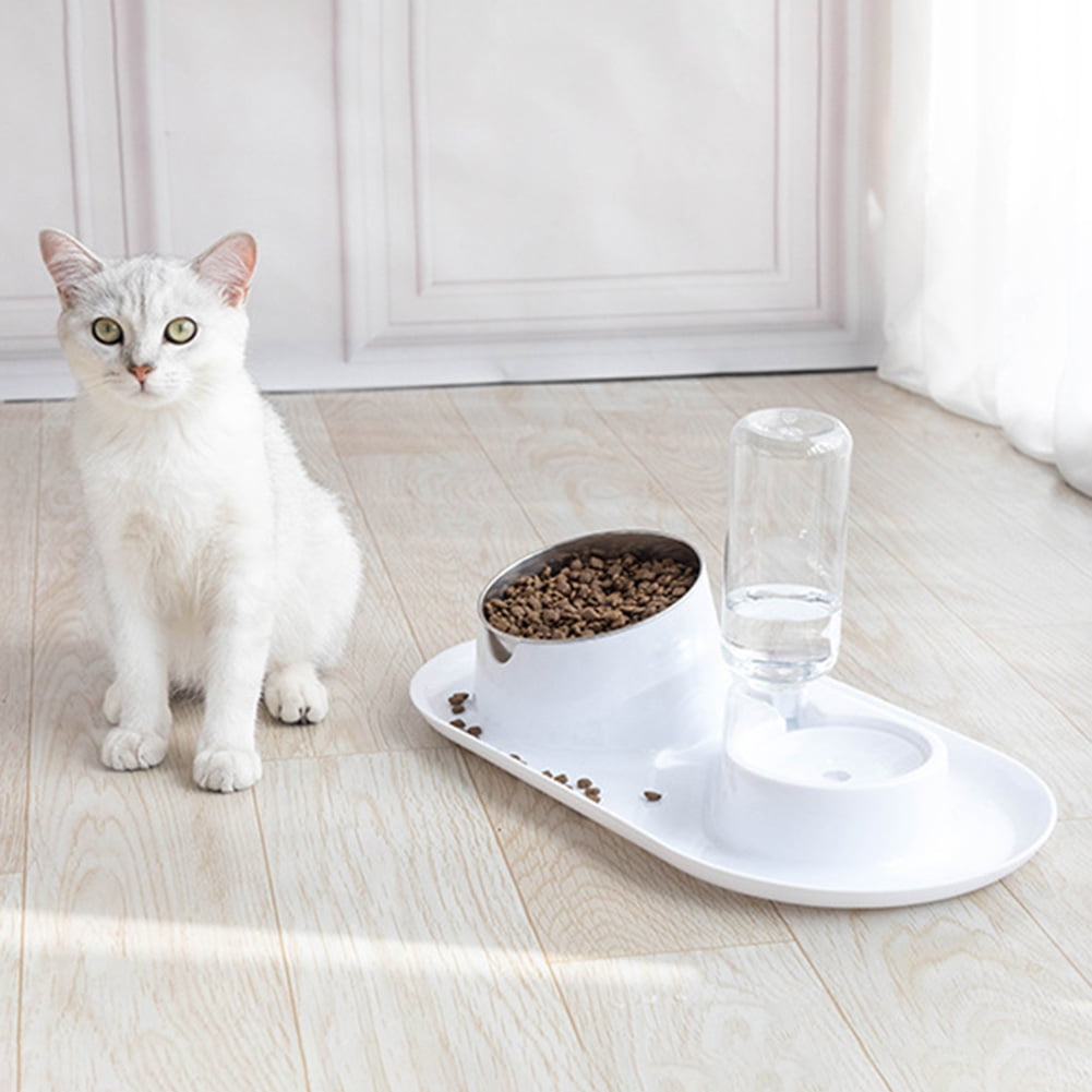 Happy Date Plastic Tilted Raised Cat Food Dishes, Automatic Water Bottle, Pet Feeder Food and ...