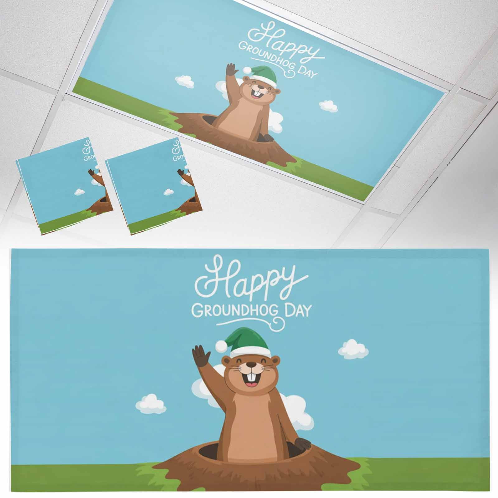 Happy Groundhog Day Fluorescent Light Covers Cartoon Green Hat ...