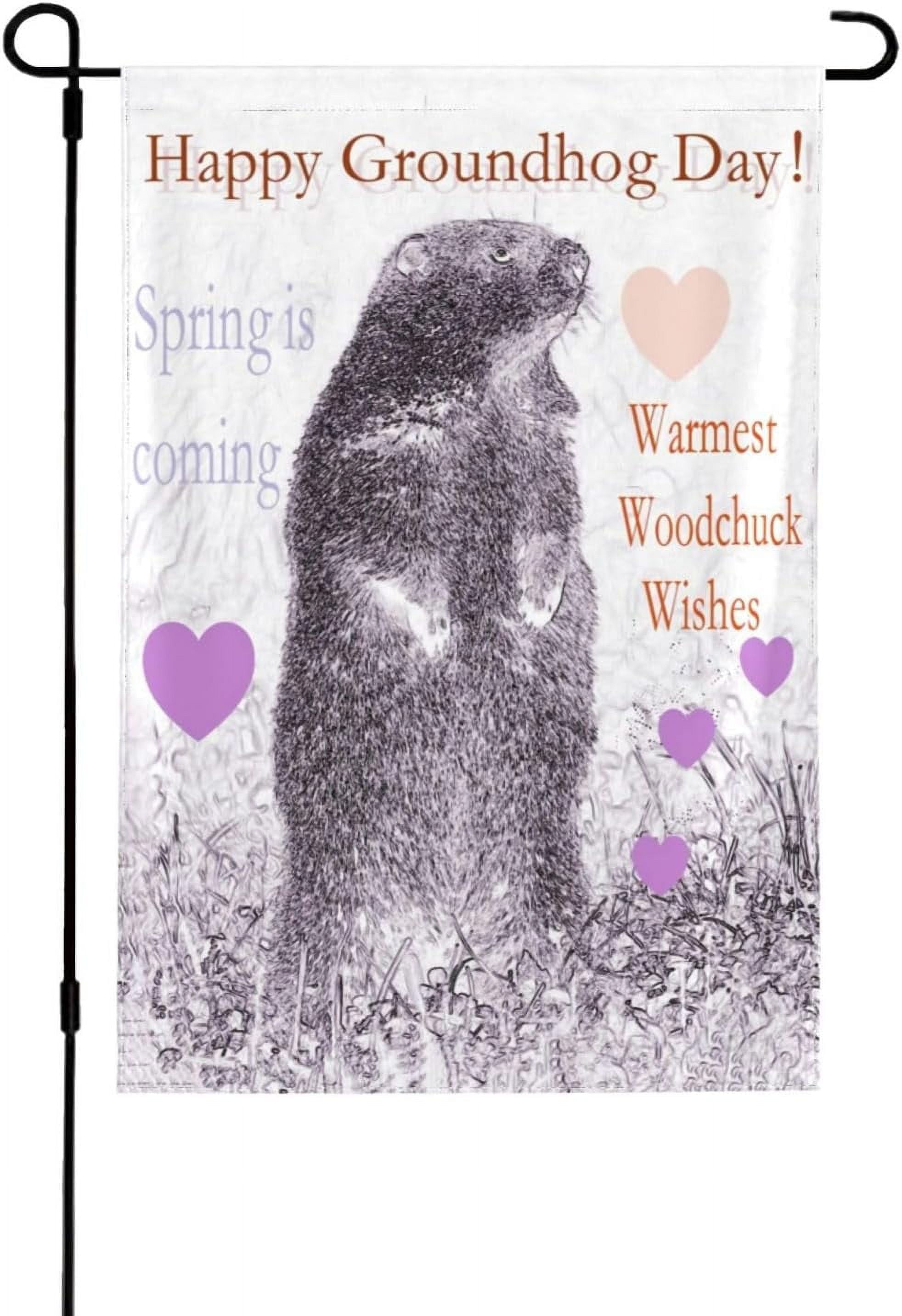 Happy Groundhog Day Garden Flags For Outdoors Decoration - Walmart.com