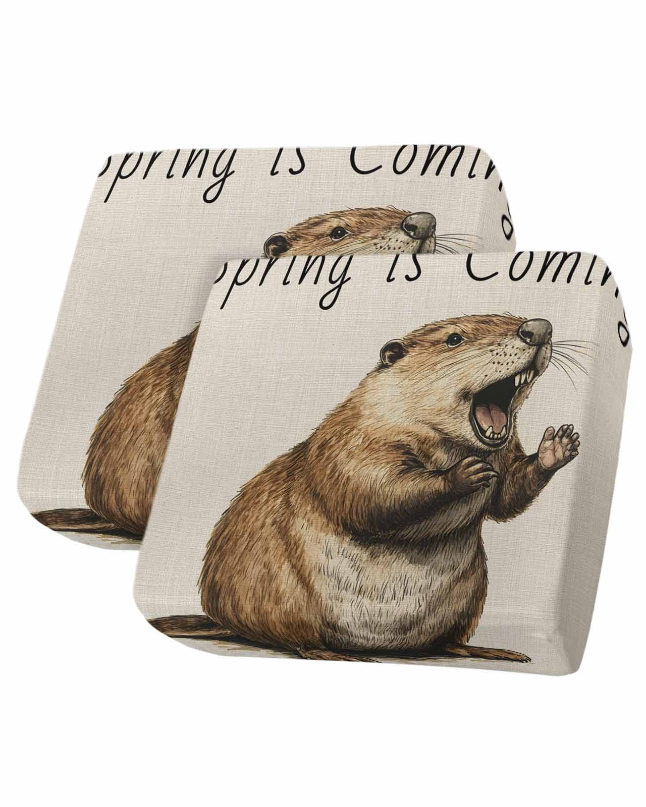 Happy Groundhog Day Sofa Couch Cushion Covers Washable, Removable ...