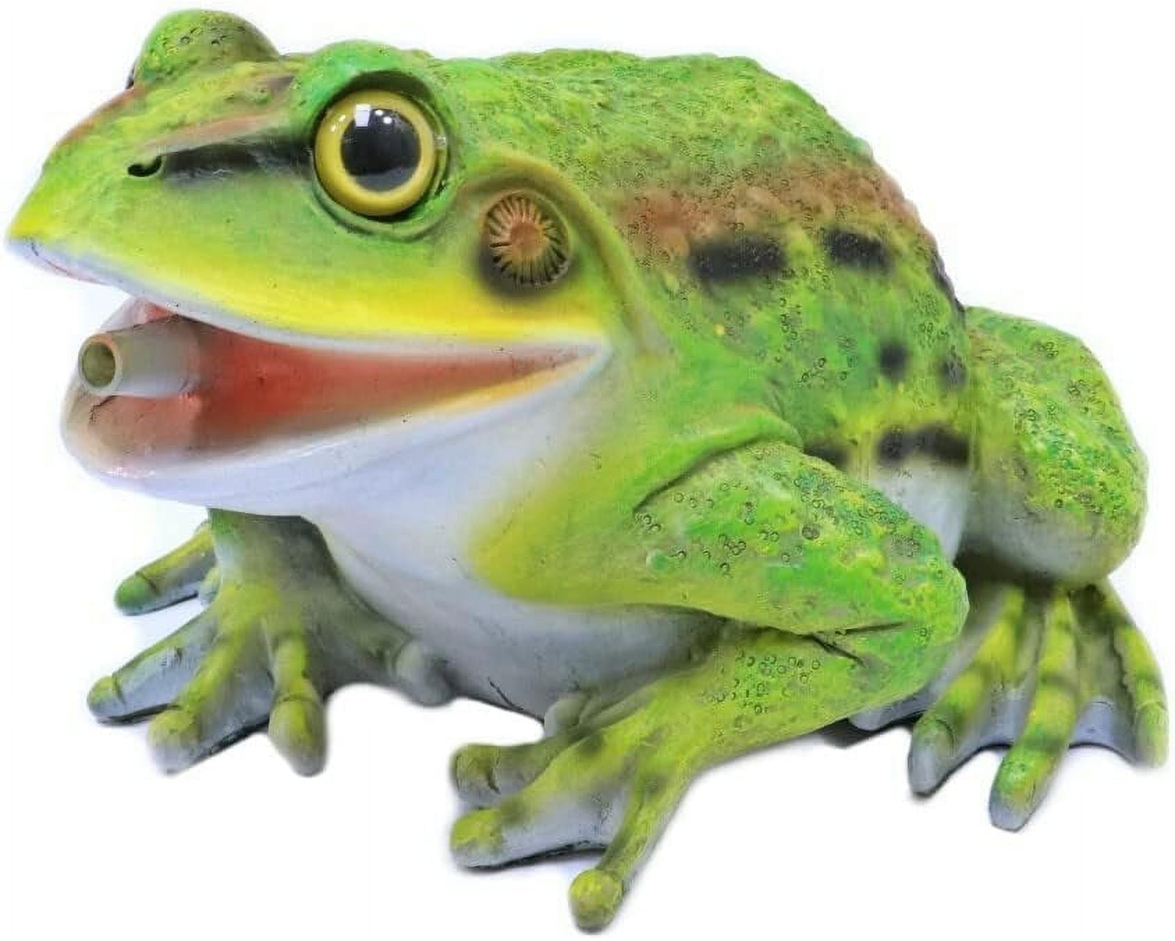 Happy Herman The Frog Decorative Pond Statuary Fountain Spitter ...