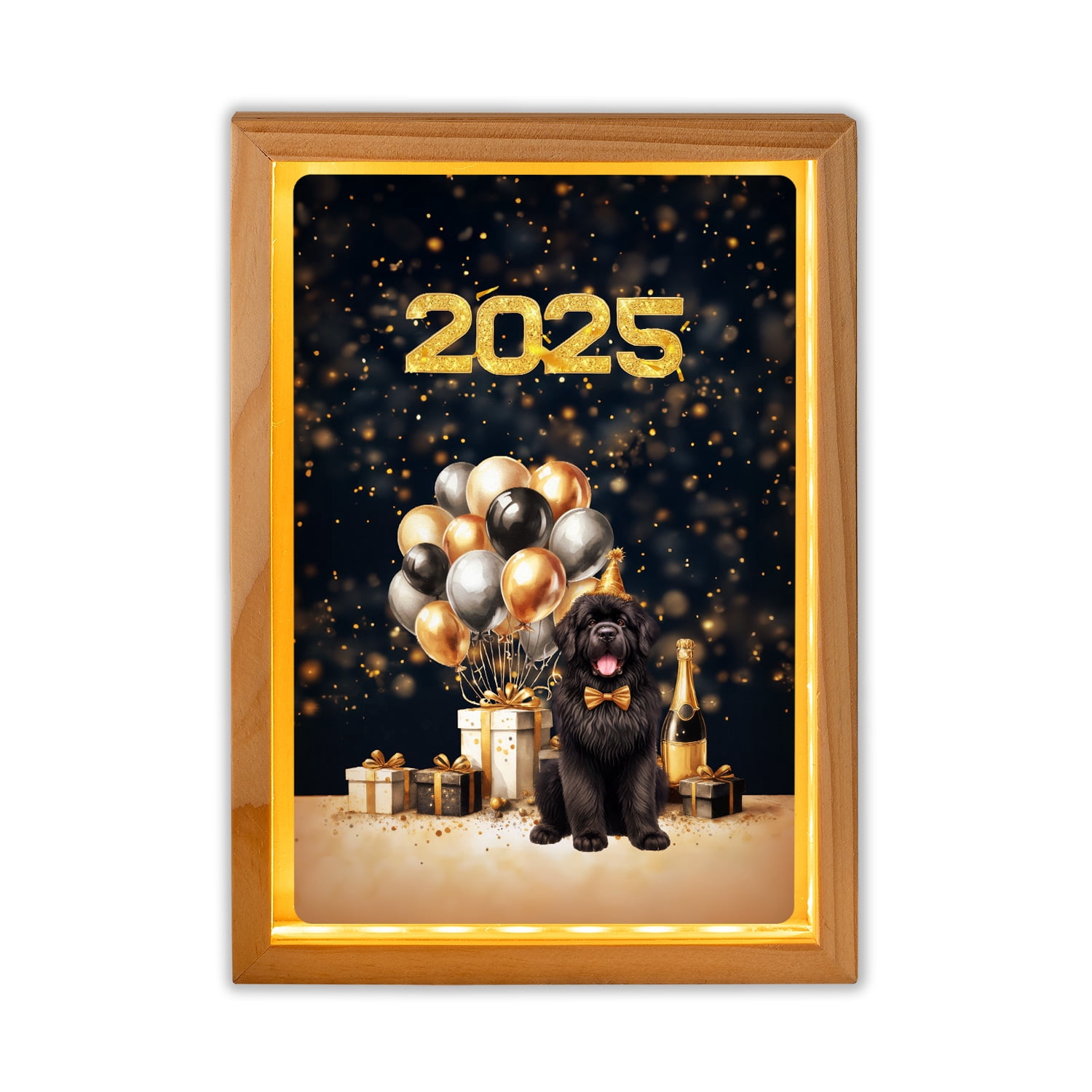 Happy New Year Newfoundland Welcome 2025 Balloon Firework Party Acrylic ...