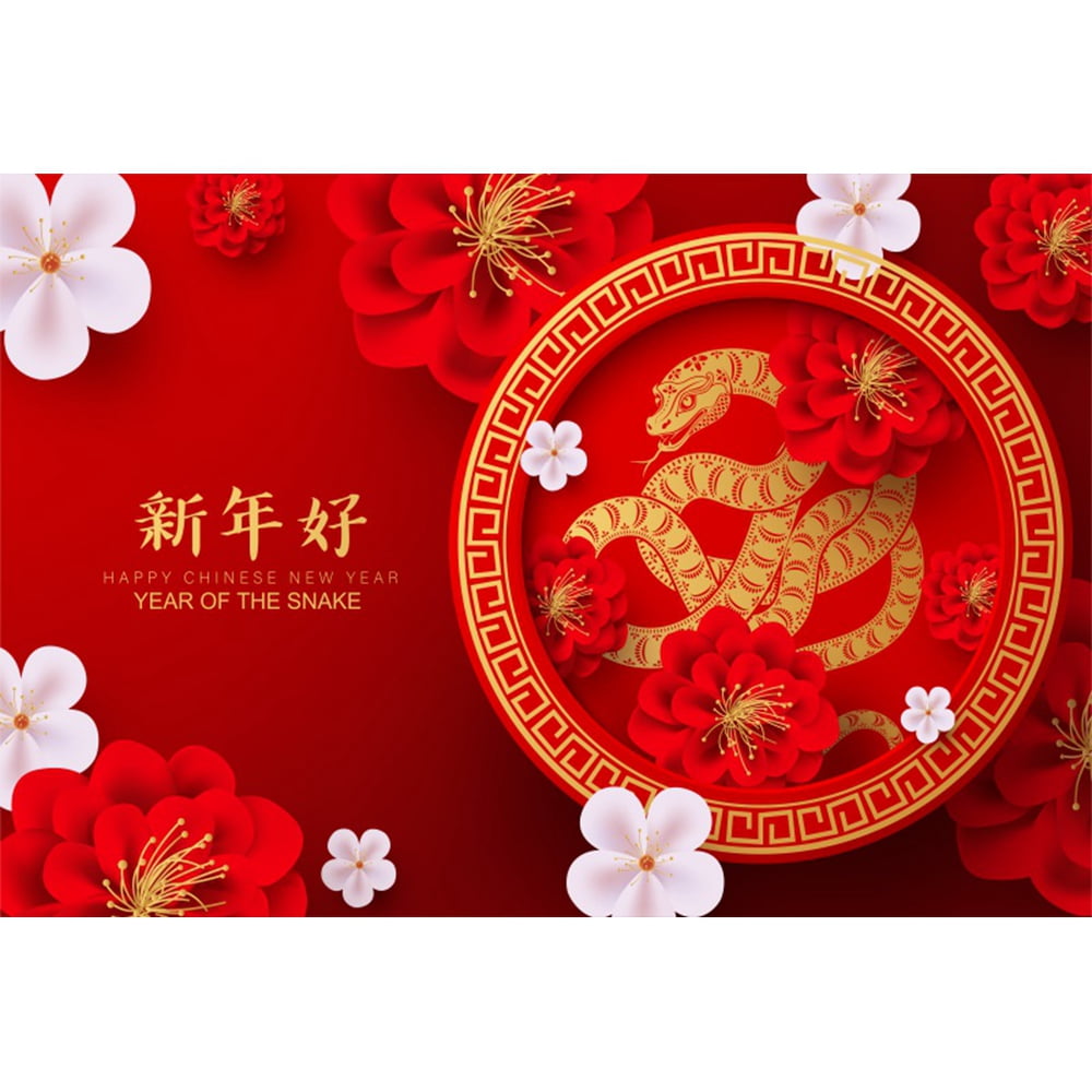 Happy New Year Photography Backdrop 2025 Chinese Style Snake Red ...