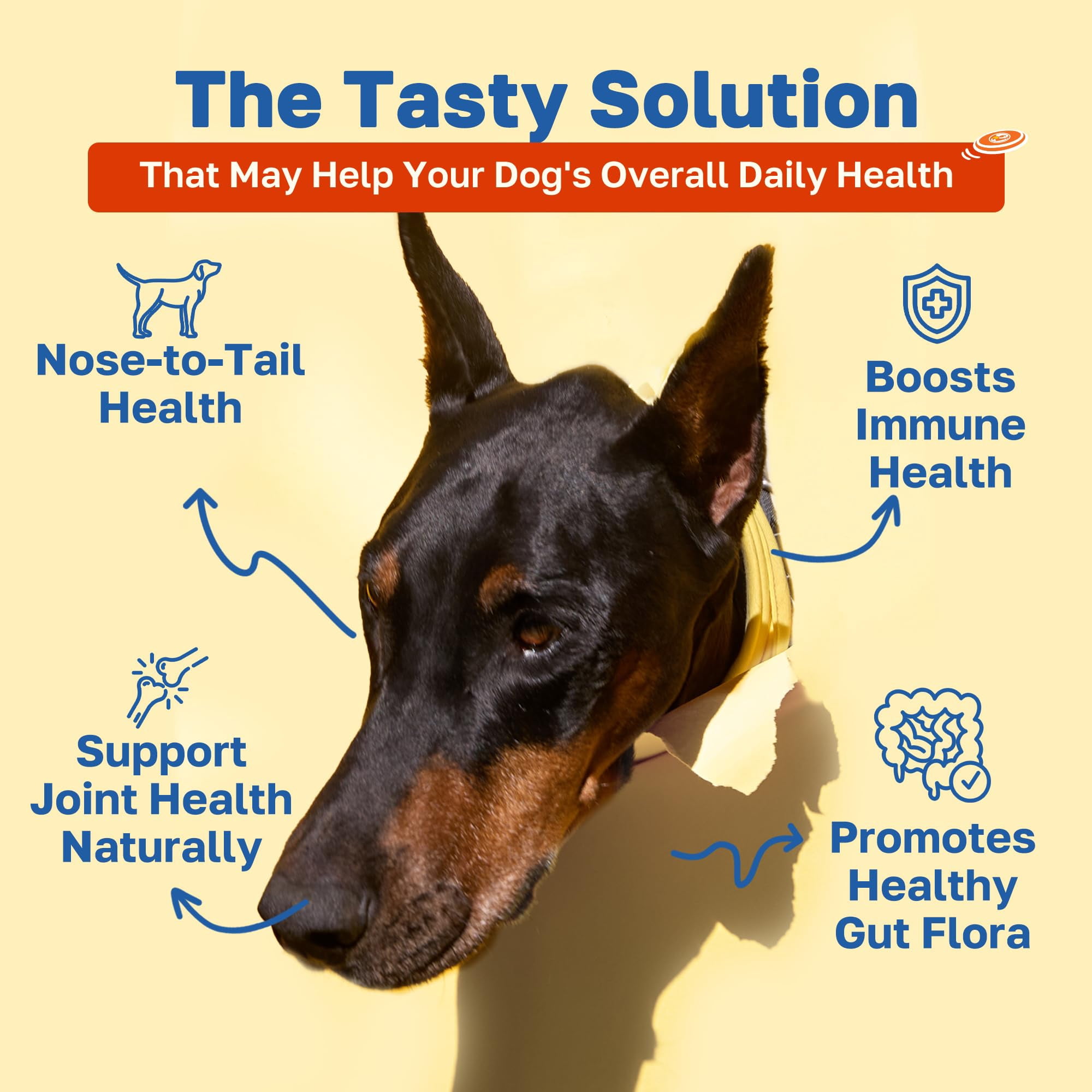 Happy Paws Multivitamin FEV6 for Dogs, Soft Chews with Green Lipped ...