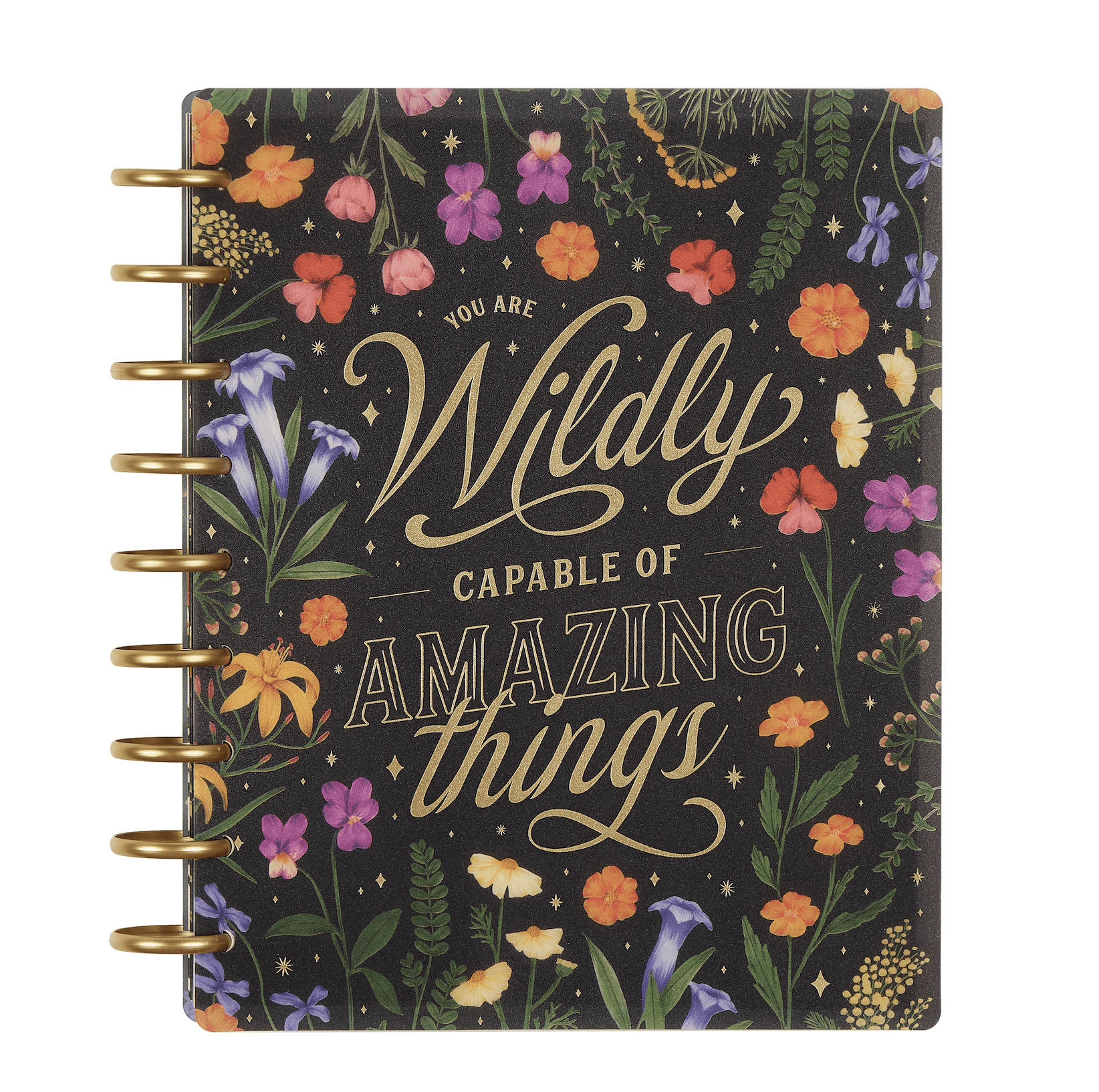 Happy Planner Monthly Weekly Classic PlannerJan- December 2026 Grounded ...