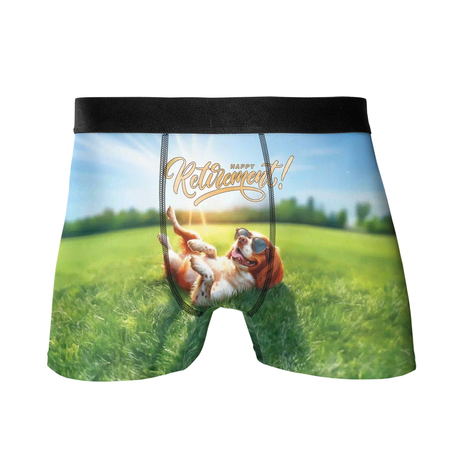 Happy Retirement with Brittany Spaniel Enjoy Life Rest Time All Over ...