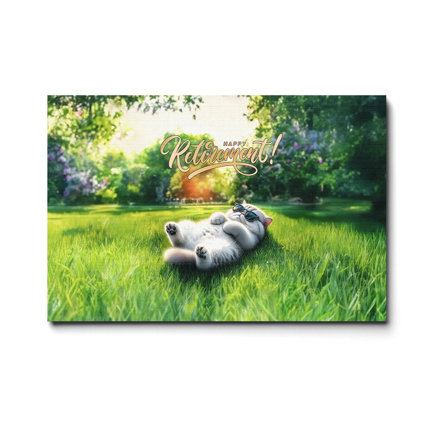Happy Retirement with Exotic Shorthair Enjoy Life Rest Time Horizontal ...