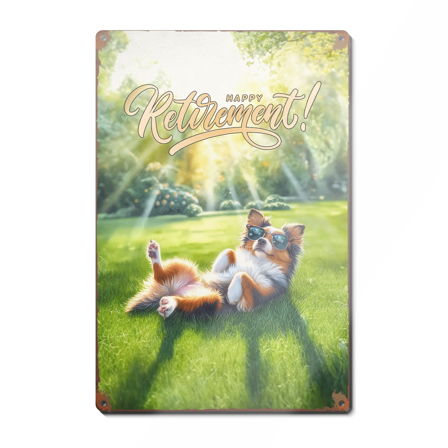 Happy Retirement with Miniature American Shepherd Enjoy Life Rest Time ...