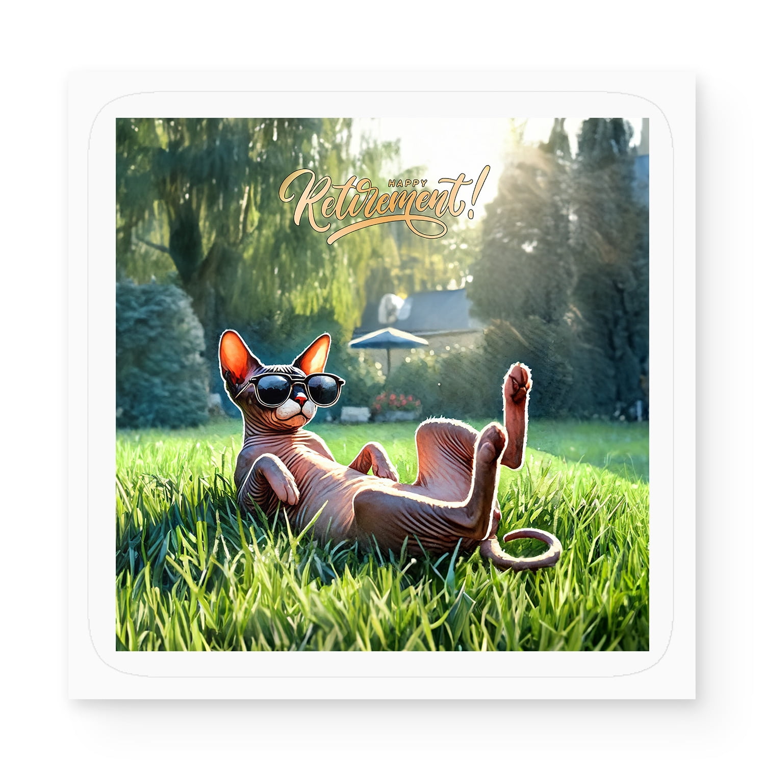 Happy Retirement with Sphynx Enjoy Life Rest Time Vinyl Sticker Cat ...