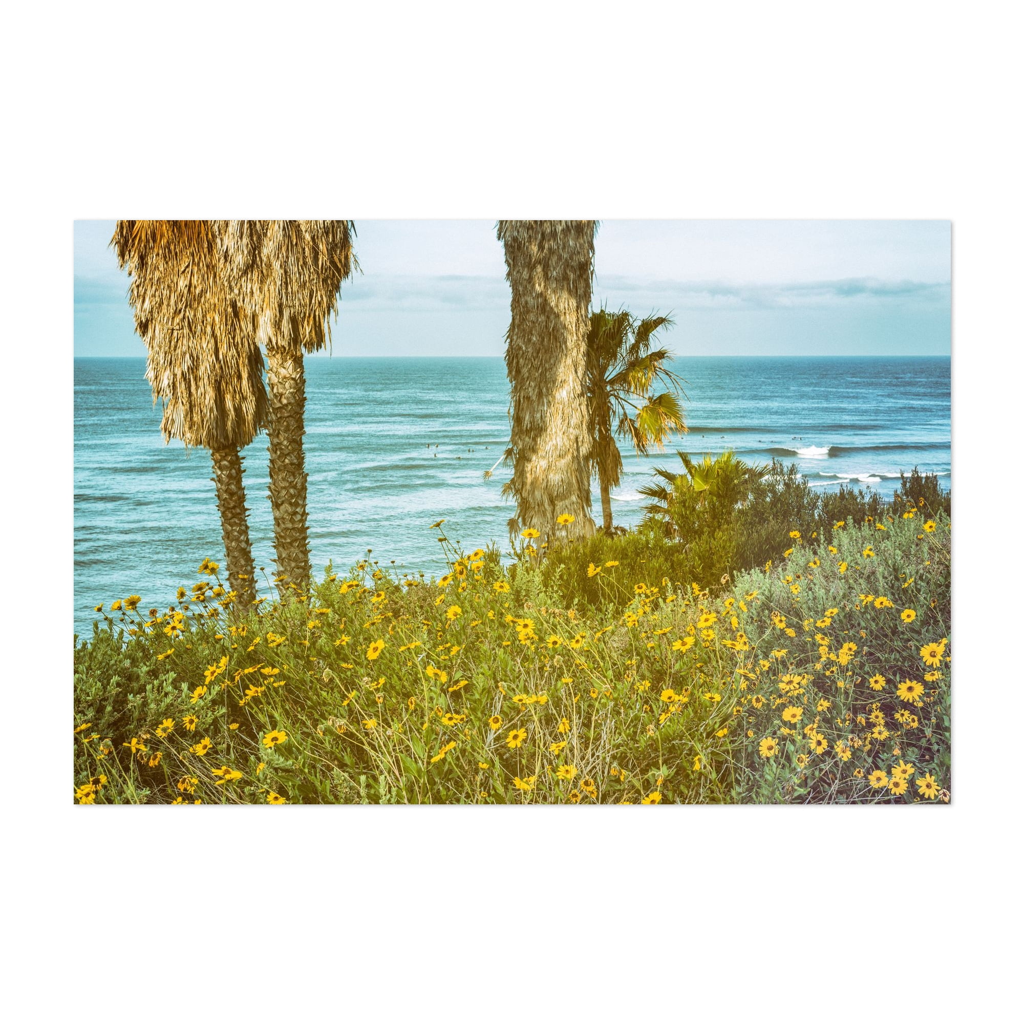 So Happy Above Swami's - Encinitas California Photography Ocean Palm ...