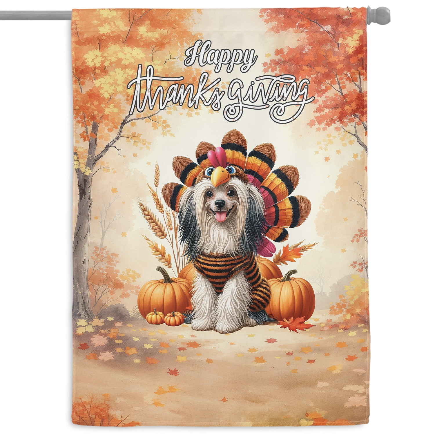 Happy Thanksgiving Chinese Crested Turkey Costume Pumpkins Autumn ...