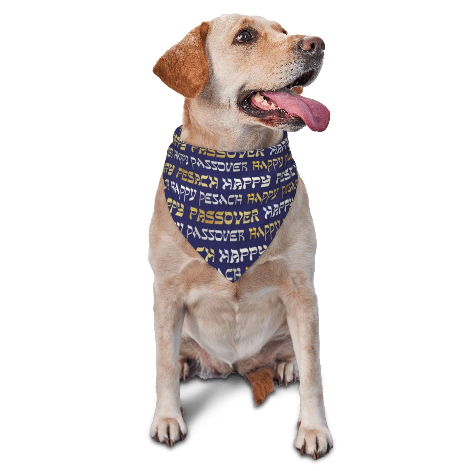 Happy Traditional Jewish Passover Dog Bandanas Cat Bandana Triangle Pet ...