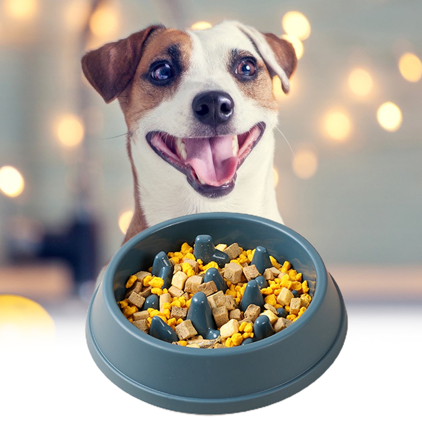 Happy Date Medium Sized Plastic Dog Bowl, Slow Feeder Pet Food Dish for ...