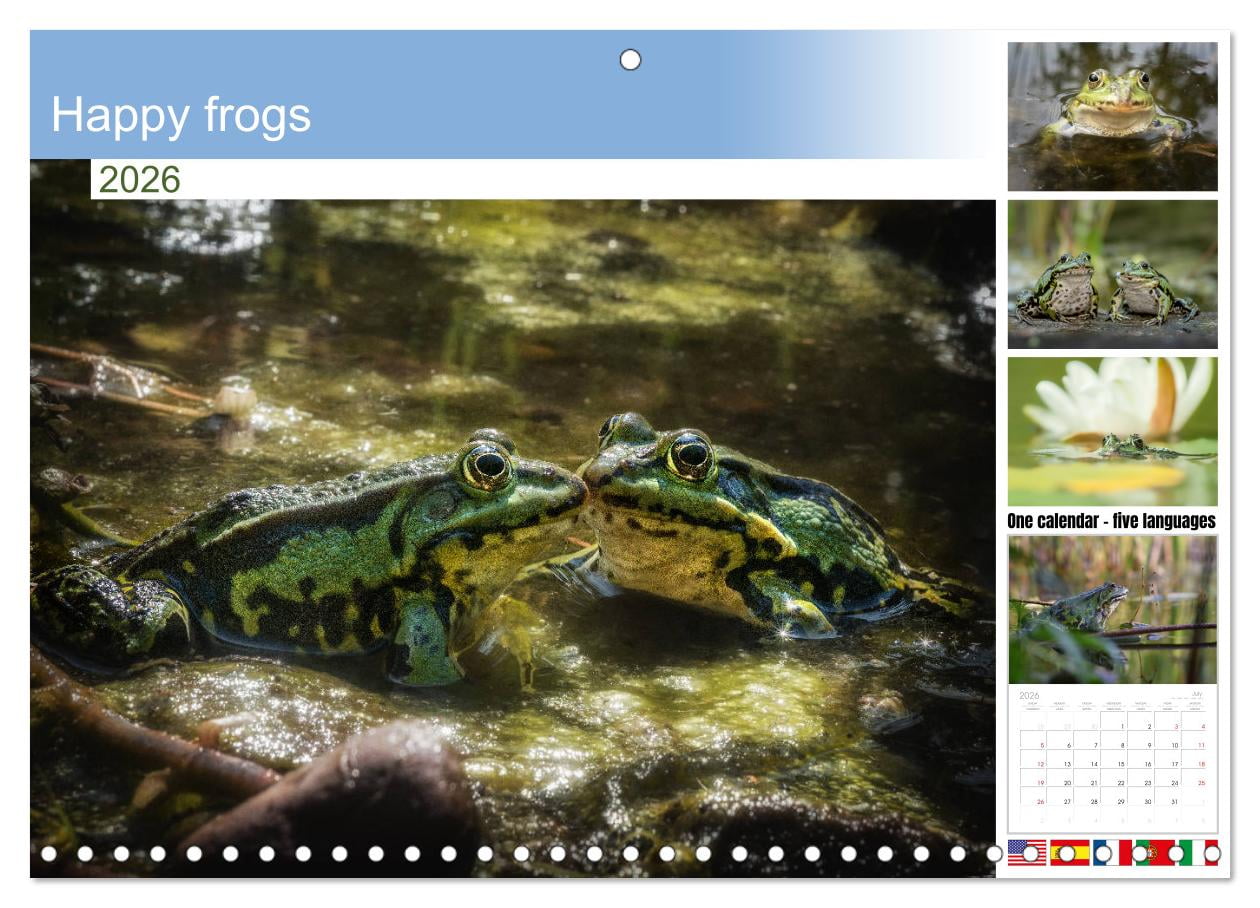 Happy frogs (Monthly Wall Calendar 2026 16.5 x 23.4 (open)), CALVENDO ...