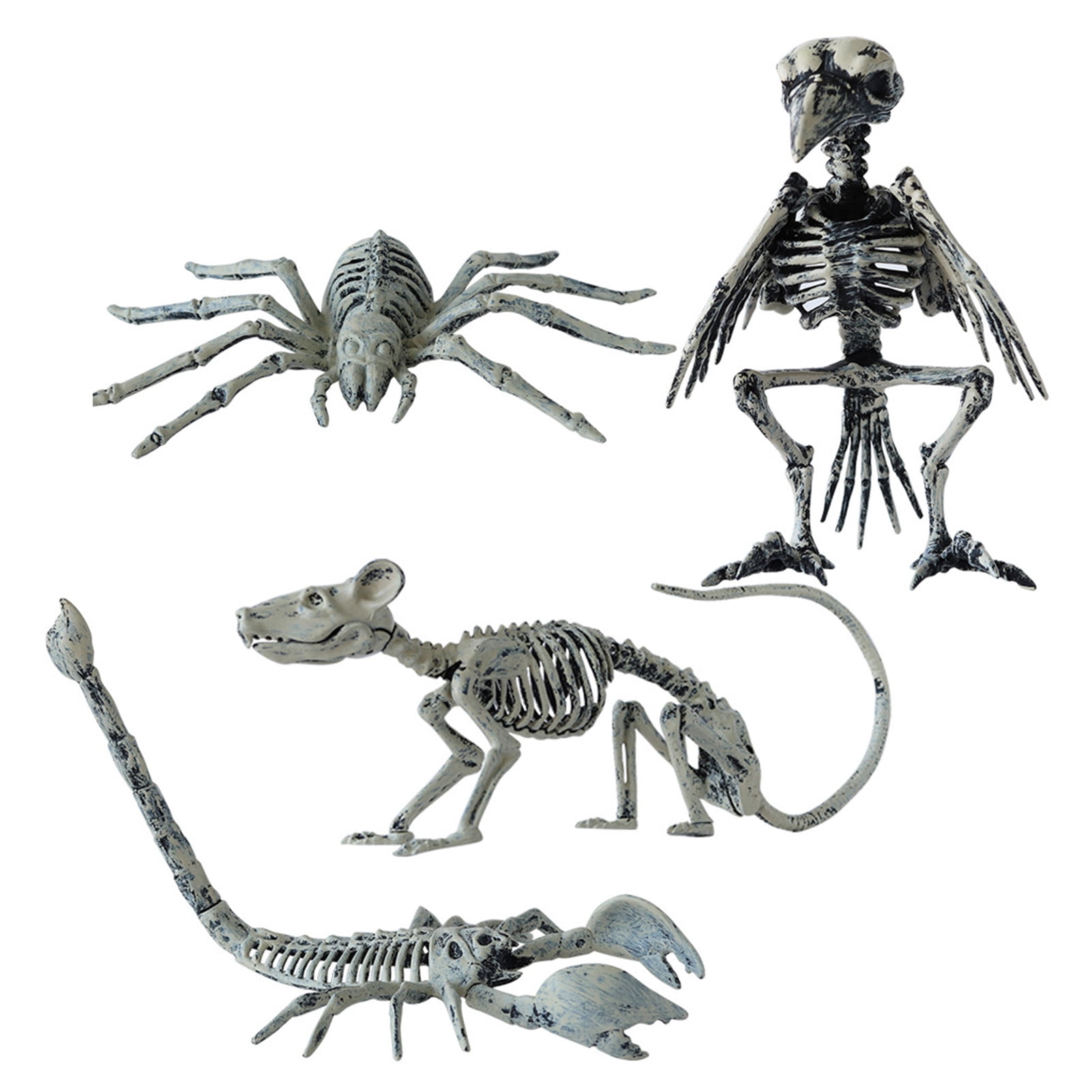 Happydeer Halloween Animal Skeleton Plastic Bone Model Realistic ...