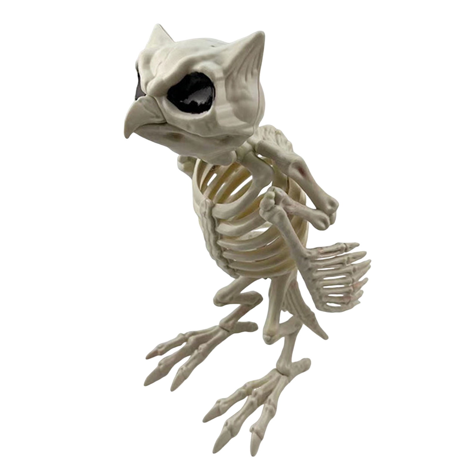 Happydeer Halloween Animal Skeletons Dog Bat Frog Scorpion Spider Snake ...