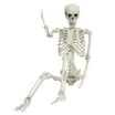 5 Foot Posable Skeleton - Large Outdoor Yard Decoration - Home Decor ...