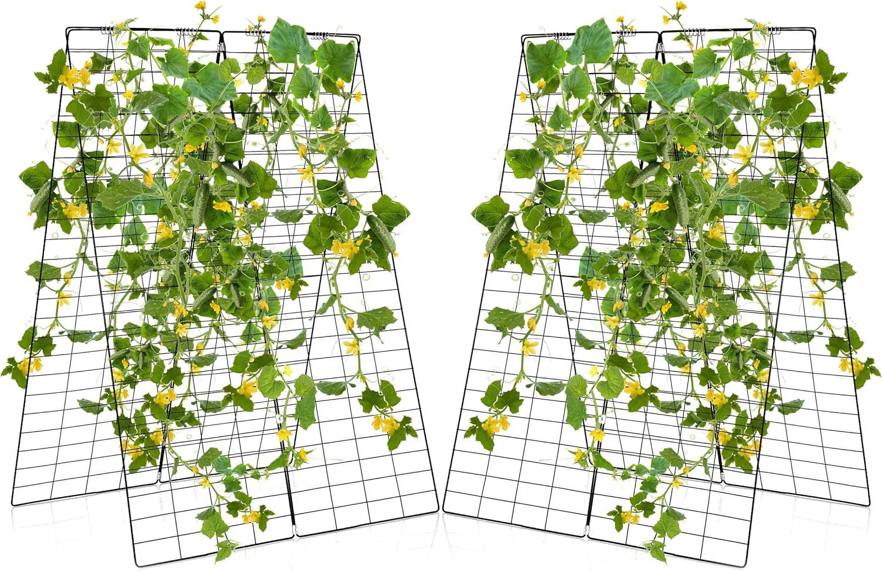 Happygrill 2-Pack Garden Cucumber Trellis, 46 x 34 inch Support with ...