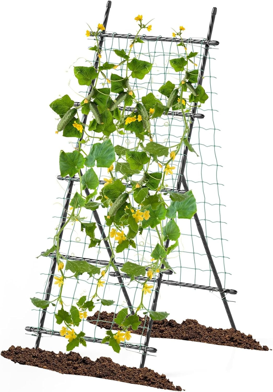 Happygrill Trellis for Climbing Plants Outdoor, Cucumber Trellis w/PE ...
