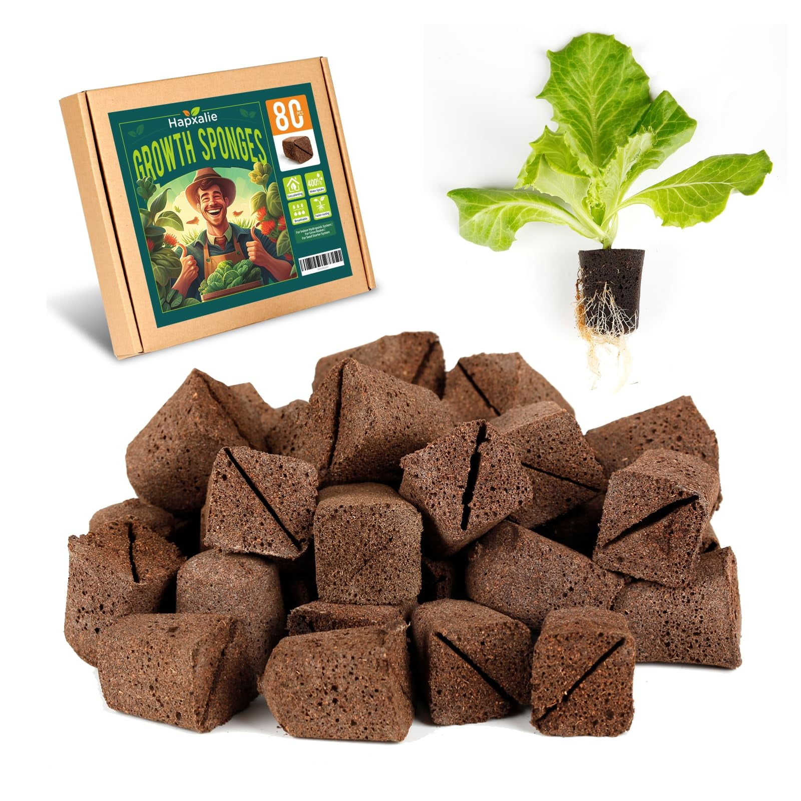 Hapxalie Root Riot, Eco-Friendly Biodegradable Material, MVR1 Seed ...