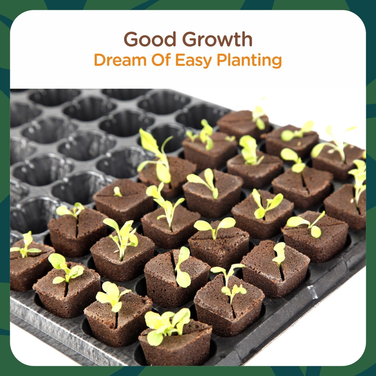 Hapxalie Root Riot, FEV6 Eco-Friendly Biodegradable Material, Seed ...