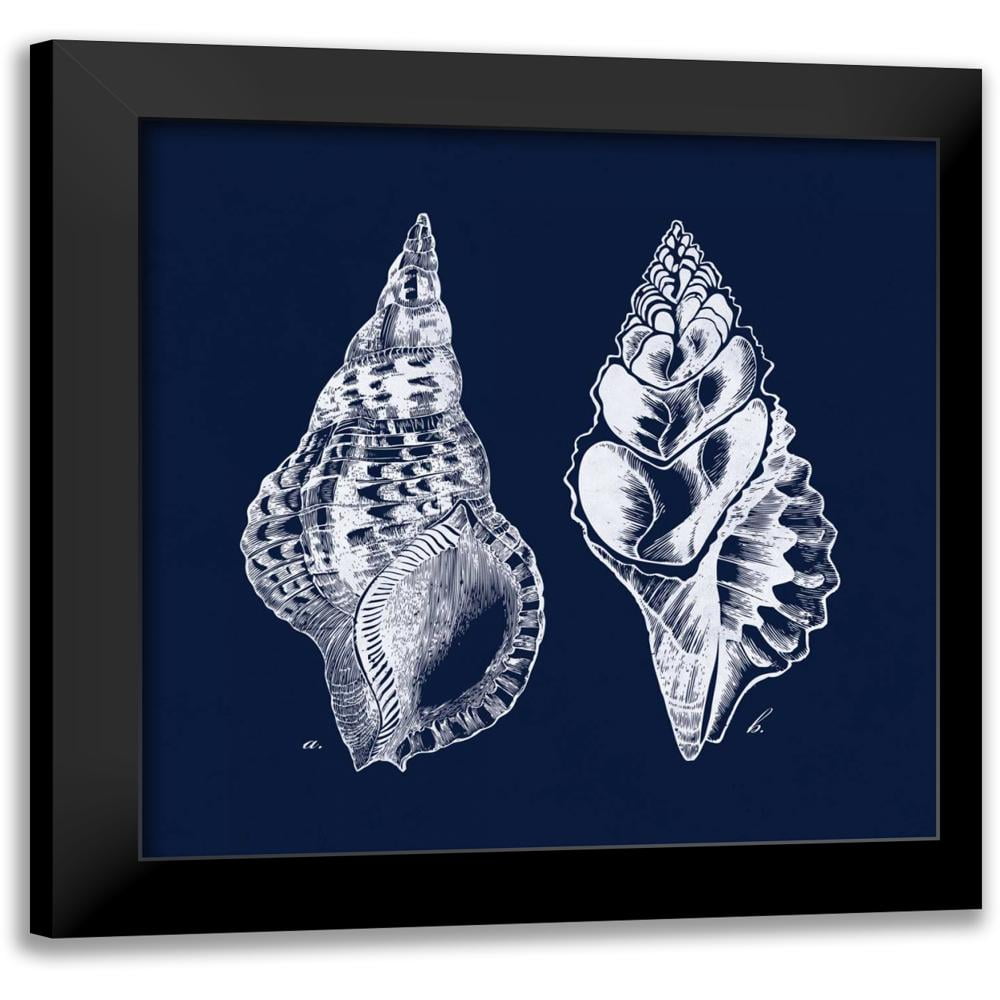 Harbick, N 15x15 Black Modern Framed Museum Art Print Titled - Shell ...