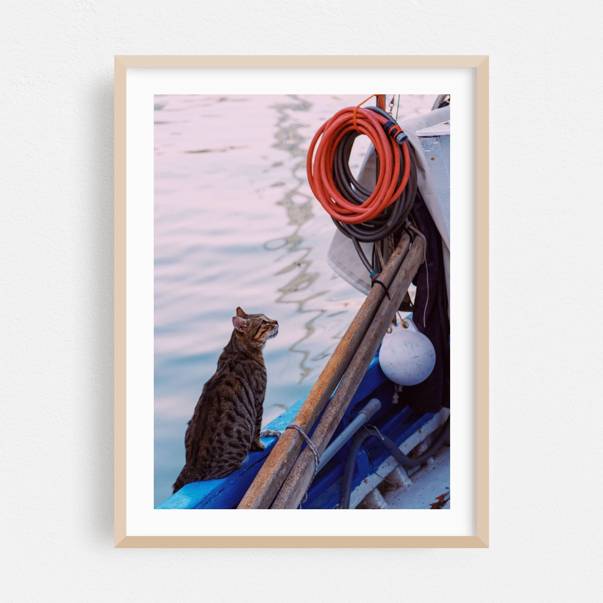 Harbor Sentinel - Piraeus Greece Photography Cat Boat Animal Nautical ...