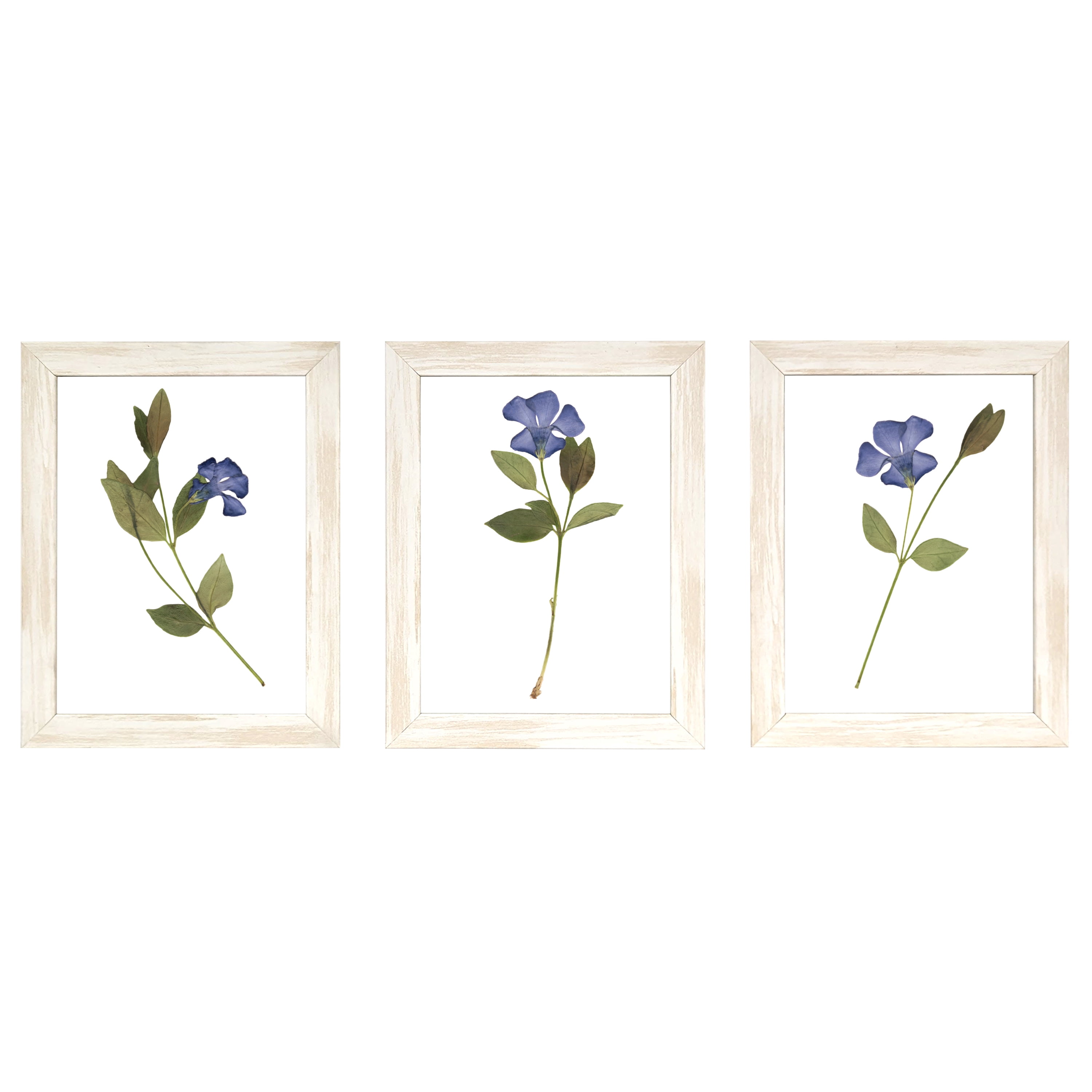 Harbortown 8x10 Inch Floral Glass Wall Art Set of 3 Decorative Frames ...