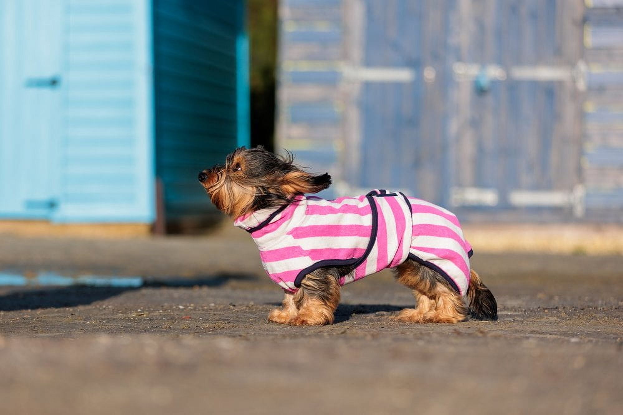 Harbour Hounds Dog Drying Robe, Pink Ultra-Absorbent & Soft Towel, Fast ...