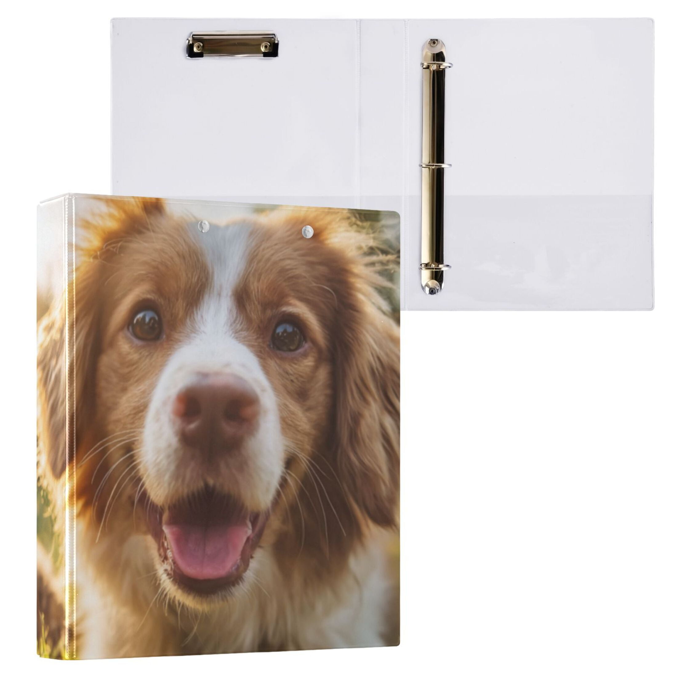 Hard Shell Ring Binder With Clip Holds 200 Sheets Office Home ...