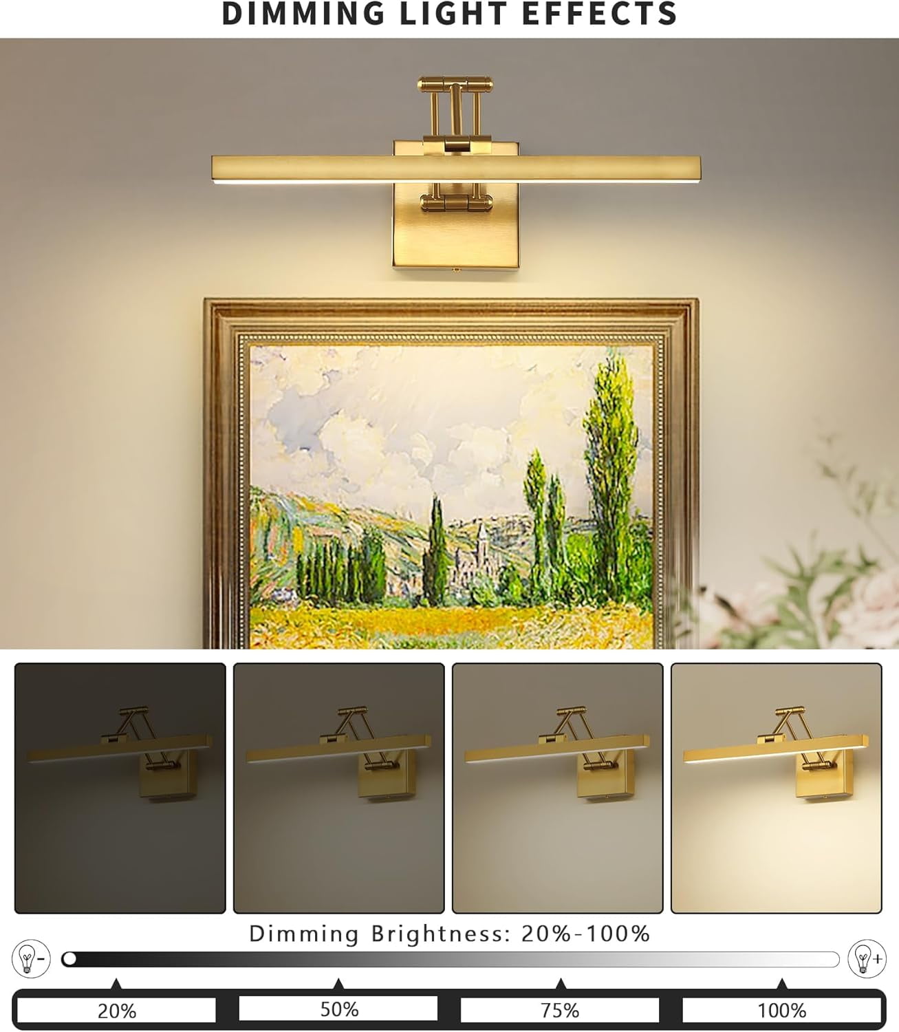Hard-Wired Picture Light Dimmable LED Picture Lights for Paintings 15.7 ...