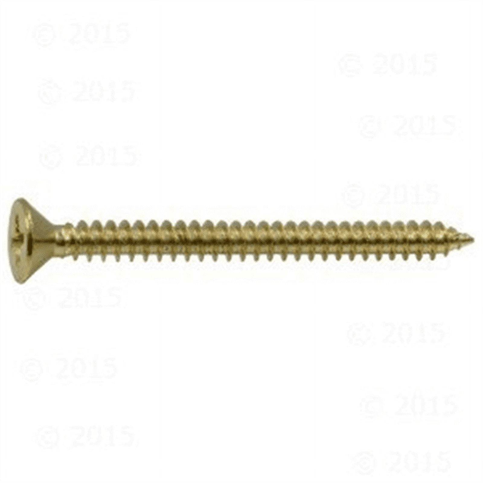 Hard-to-Find Fastener 014973160586 Phillips Flat Hinge Screws, 2-Inch ...