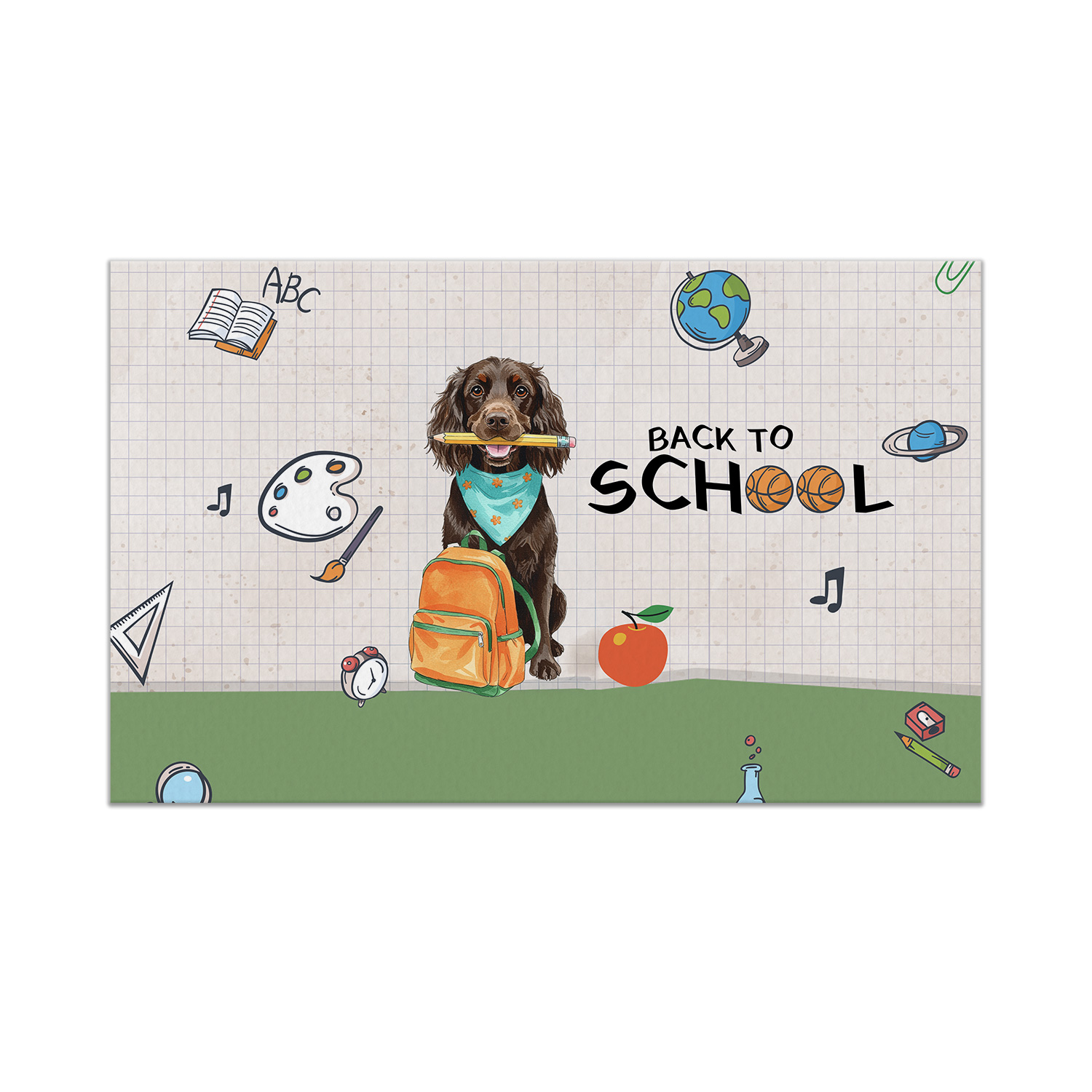 Hardworking Boykin Spaniel Ready Back to School New Year Classes ...