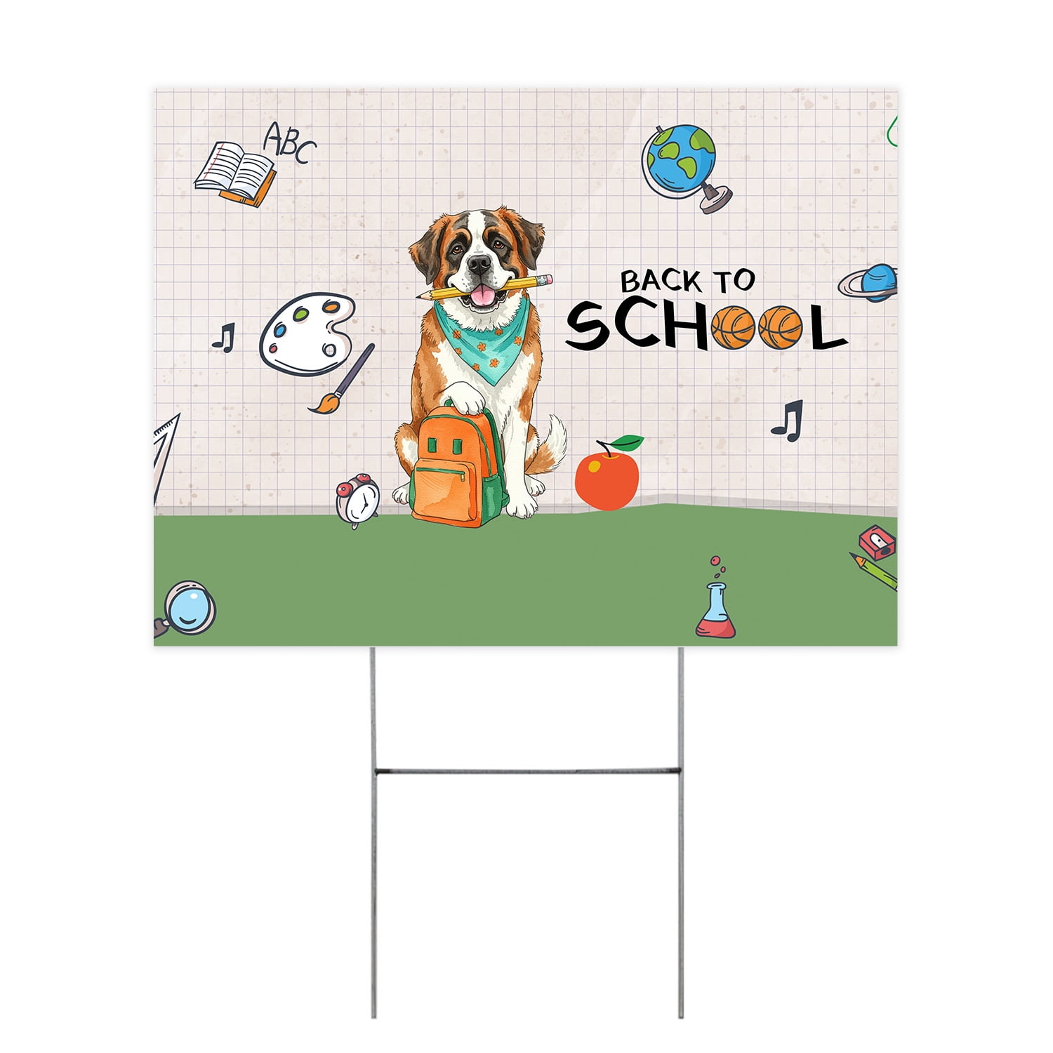 Hardworking Saint Bernard Ready Back to School New Year Classes Yard ...