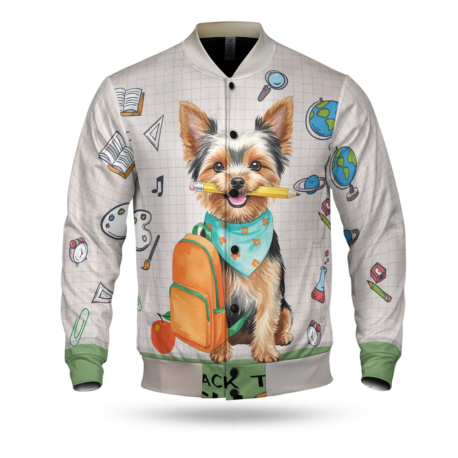Hardworking Yorkshire Terrier Ready Back to School New Year Classes All ...